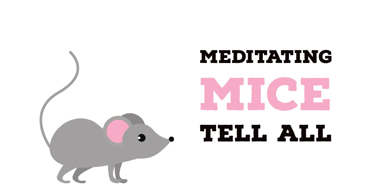 Recent Mice Study Proves Health Benefits of Deep Meditation