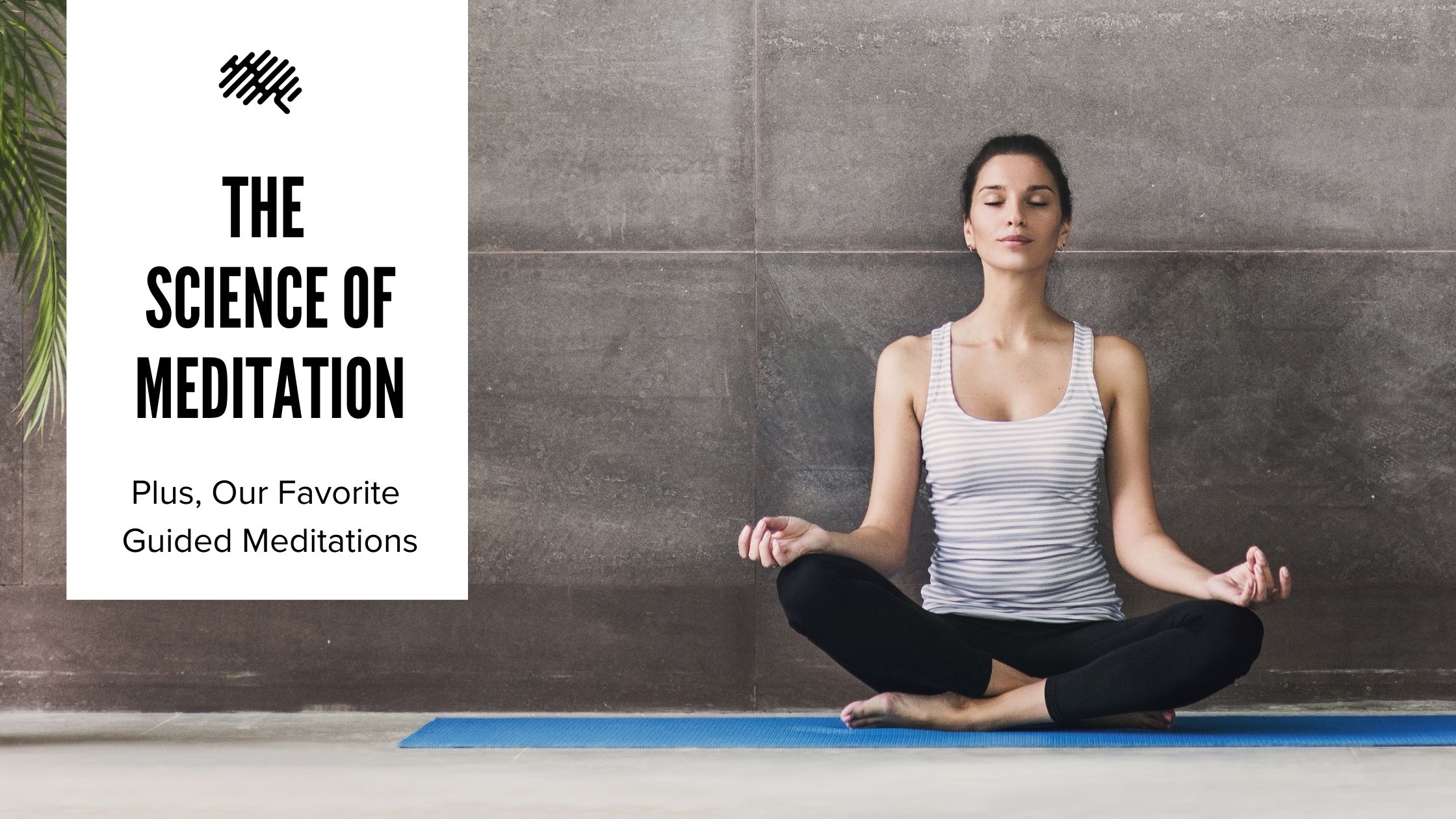 The Science of Meditation: Learn How To Meditate with Enhanced Meditations