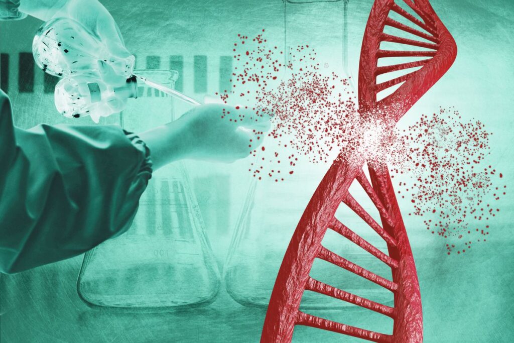 Biohacking Your Brain: The Intersection of BrainTap Technology and ...